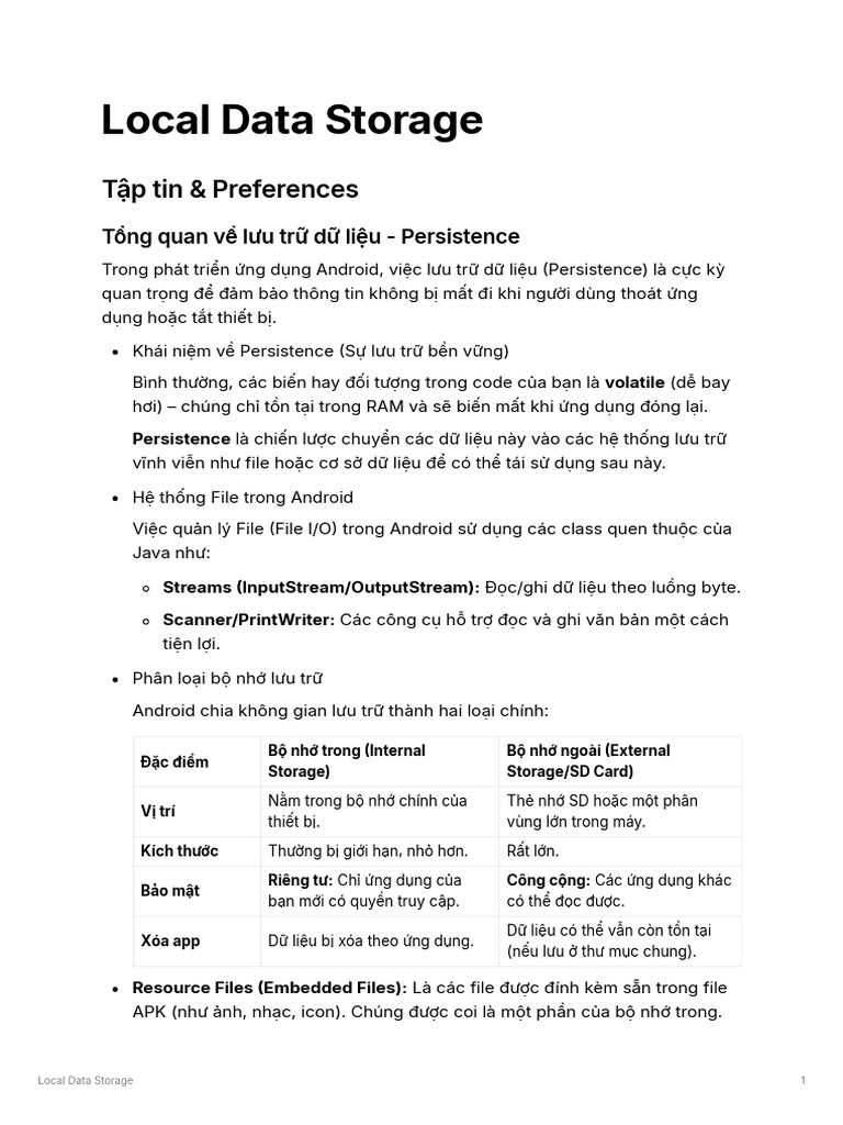 Local_Data_Storage | PDF