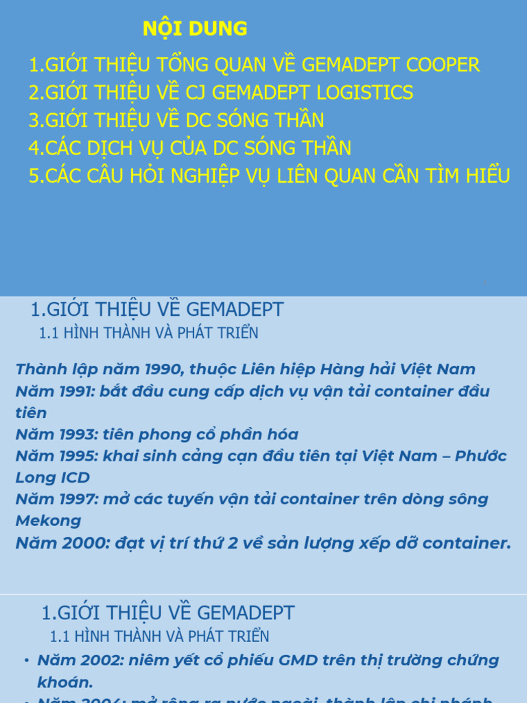 Tài Liệu Thực Tập Chuyên Môn Tại Gemadept Logistics | PDF