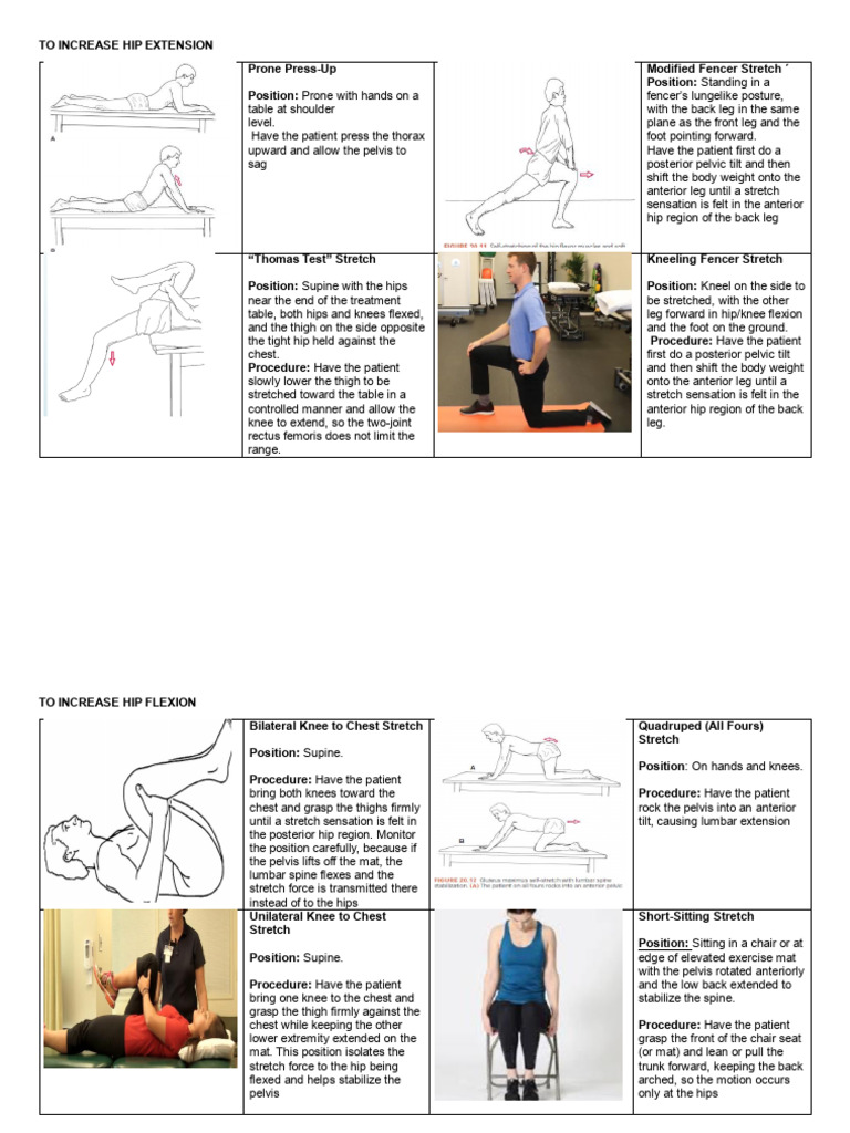 Hip Thera | PDF | Anatomical Terms Of Motion | Pelvis