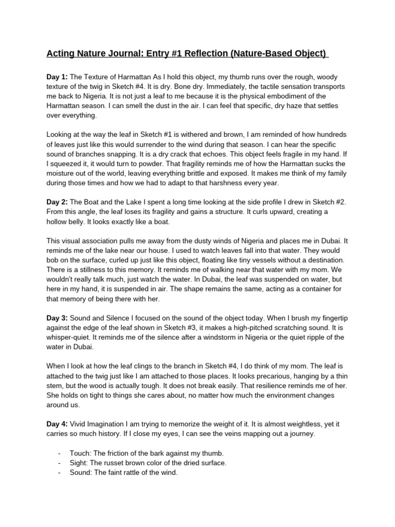 Acting Nature Journal Entry #1 (Nature-Based Object) Reflection | PDF ...
