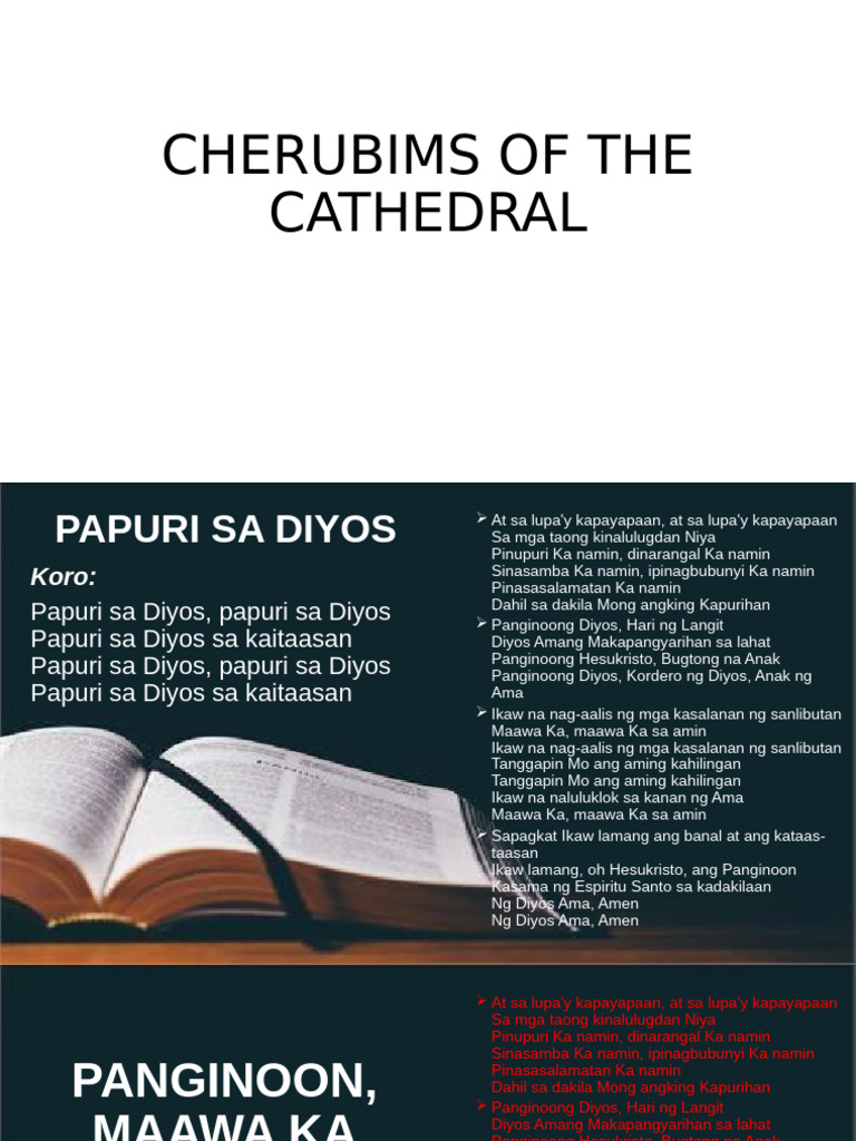 Cherubims of The Cathedral | PDF
