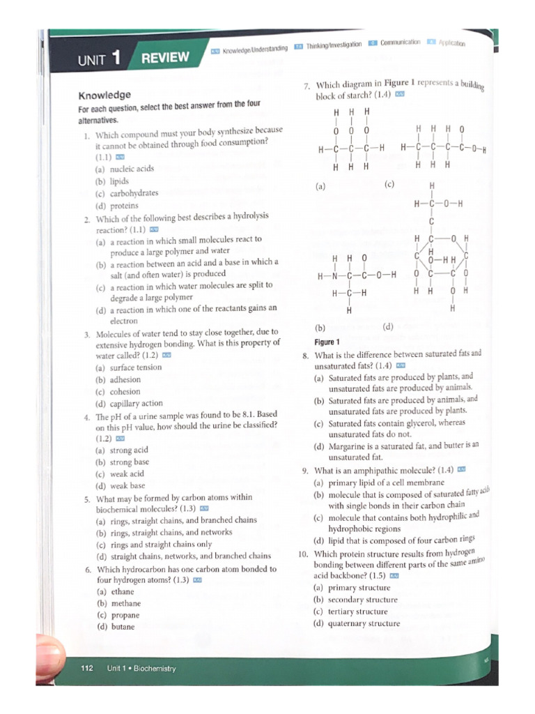 Unit Review | PDF