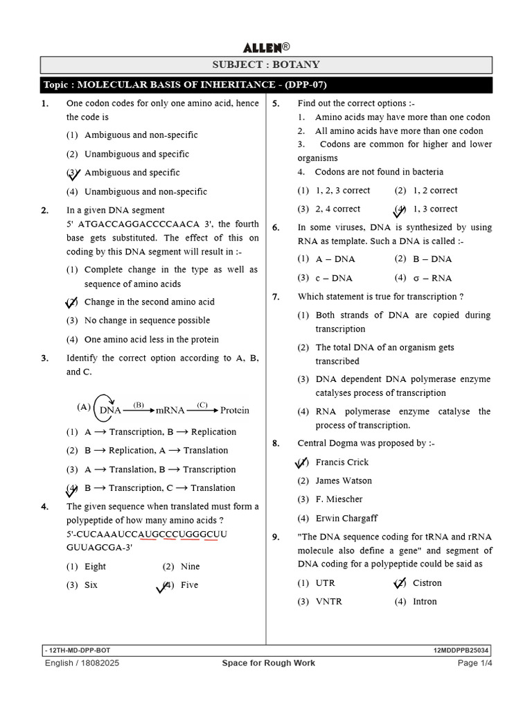 Molecular Basis of Inheritance - DPP - 07 - QP | PDF | Genetic Code ...