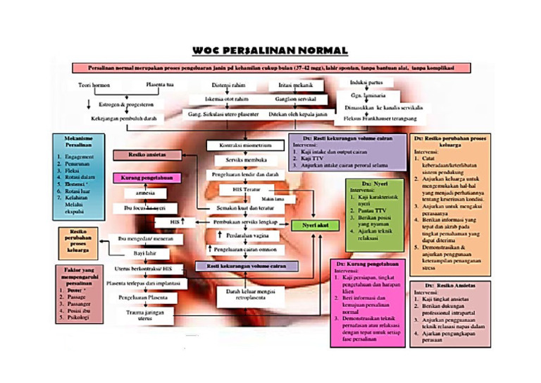 Woc Inc | PDF