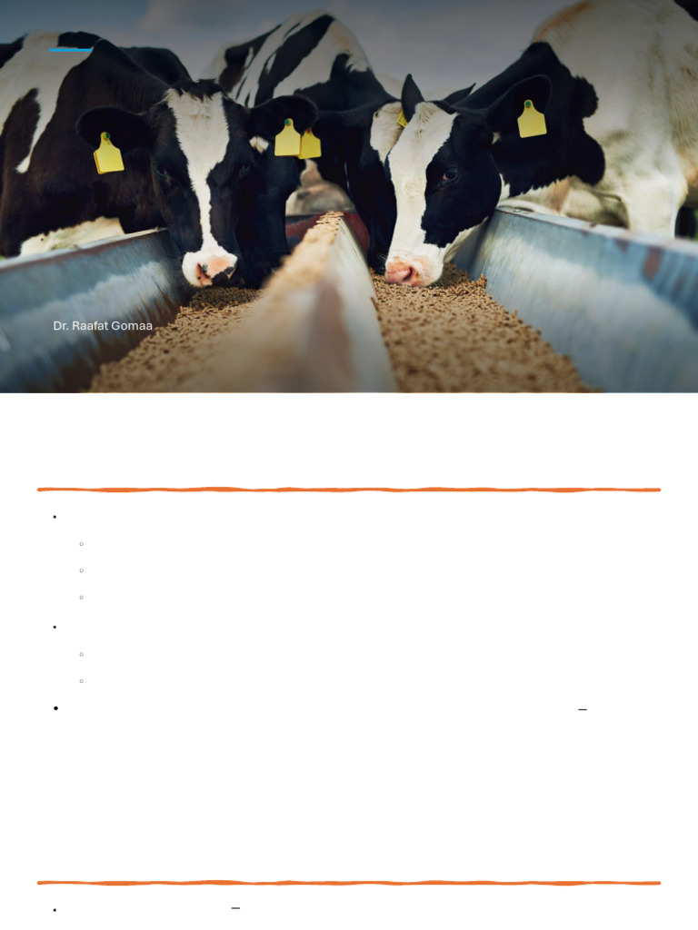 Manufacture of Feedstuff for Young Calves | PDF | Mill (Grinding ...
