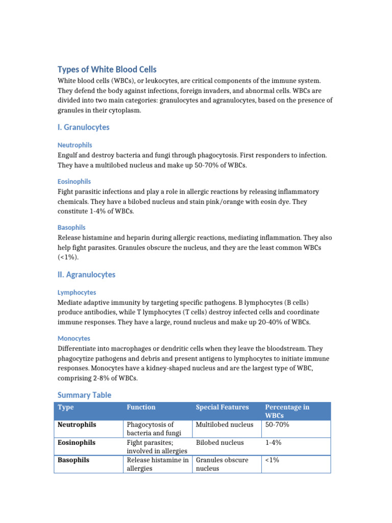 Types of White Blood Cells | PDF