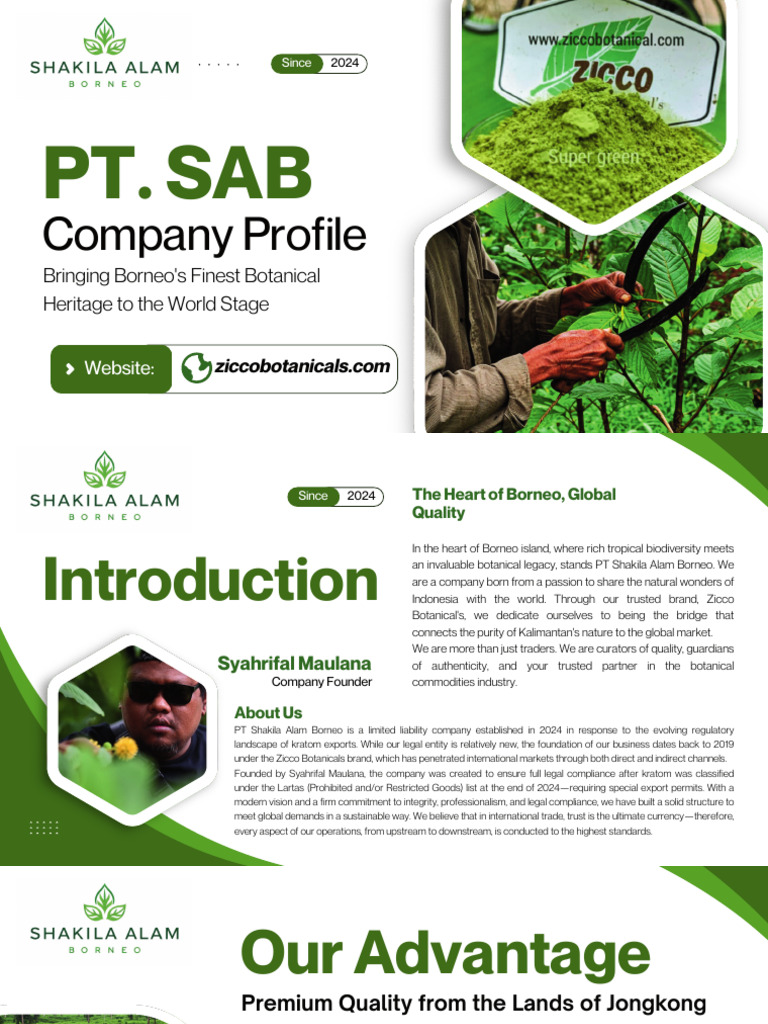 Company Profile - PT SAB & Legalitas | PDF | Economies | Business