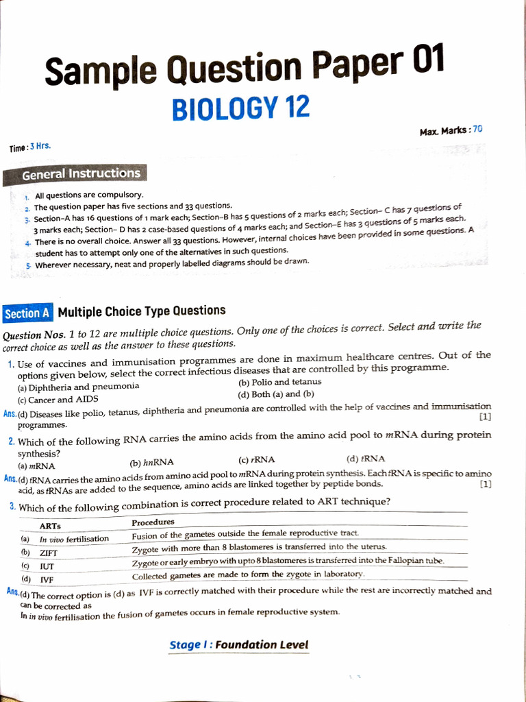 Sample Paper Bio | PDF