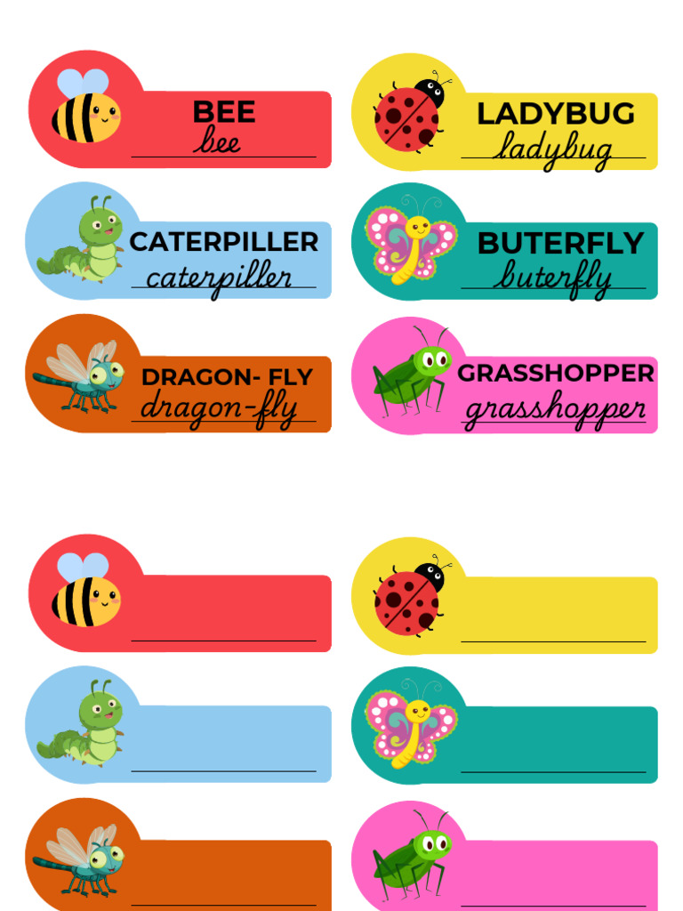 Bee Ladybug | PDF