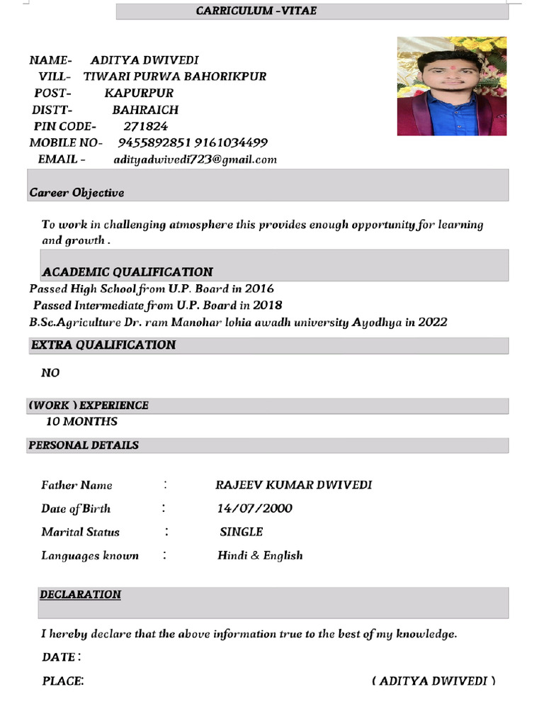 CV Aditya Dwivedi | PDF