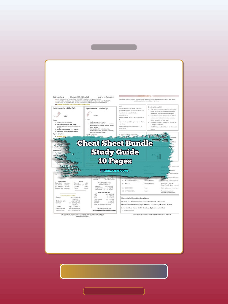 Cheat Sheet Bundle Nursing Notes Study Guides Electrolytes ABGs Lab ...