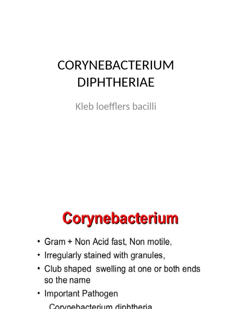 Corynebacterium | PDF
