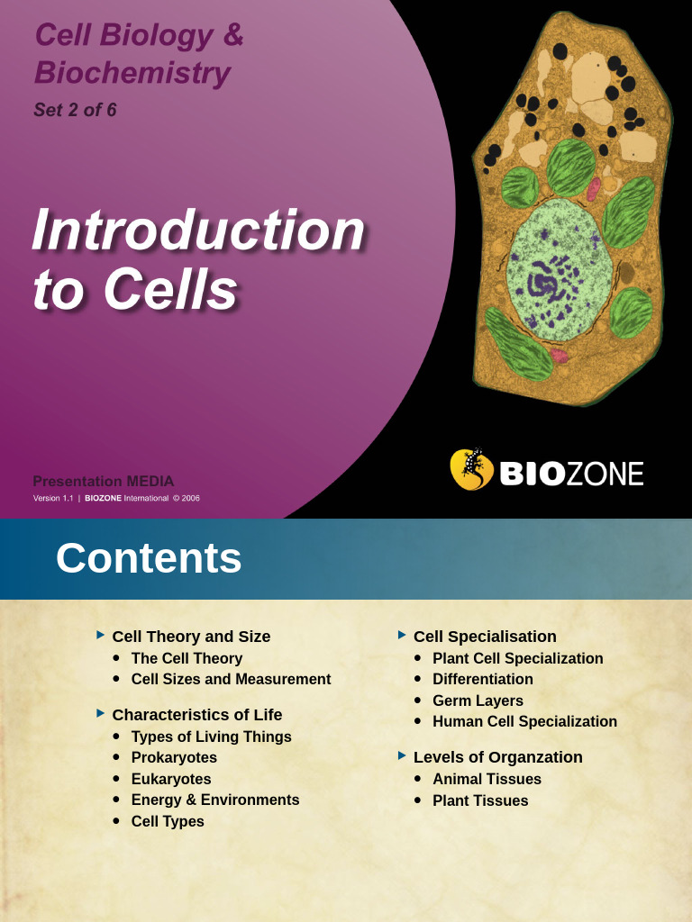 2 Introduction To Cells | PDF | Tissue (Biology) | Embryo