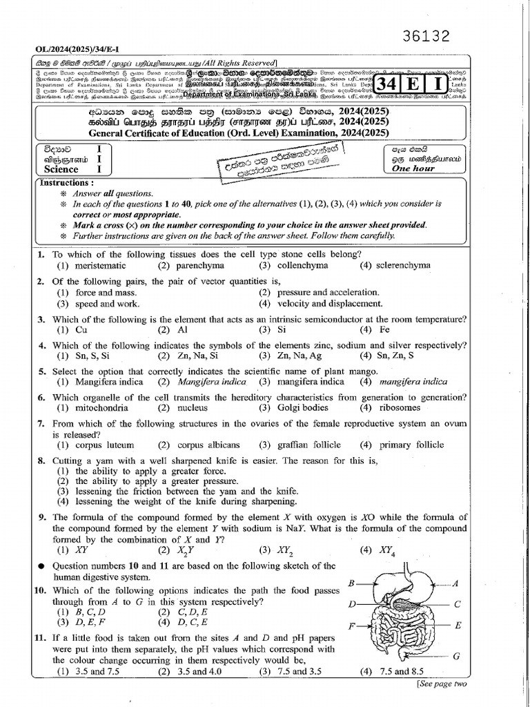 OL Science Past Paper English Medium | PDF