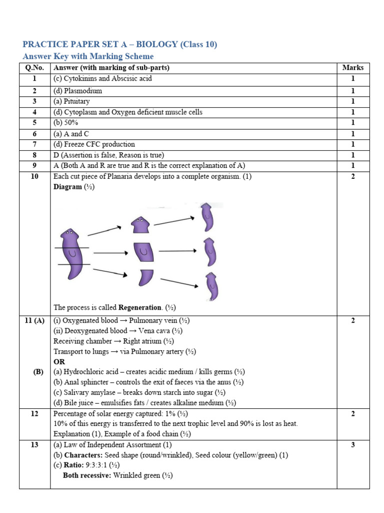 Biology Practice Paper Set a Answer Key | PDF | Uterus | Vein