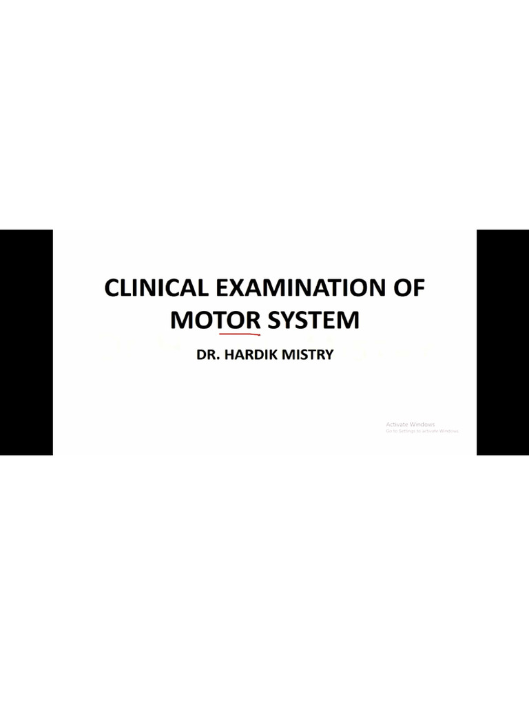 Motor System | PDF