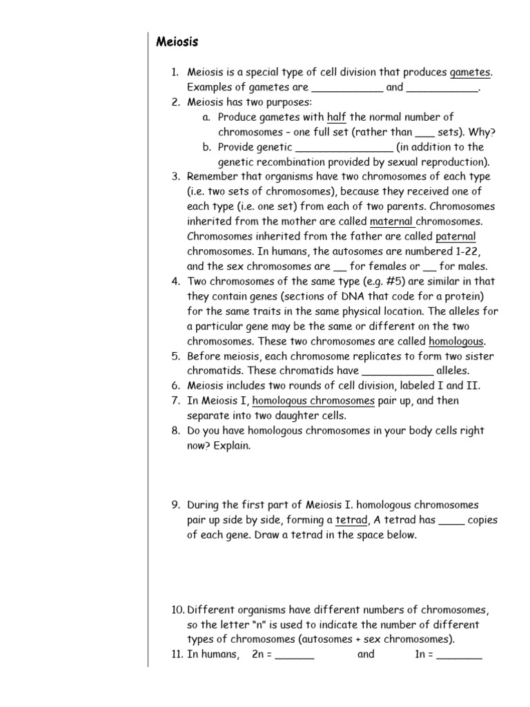 Meiosis Guided Notes | PDF | Meiosis | Chromosome