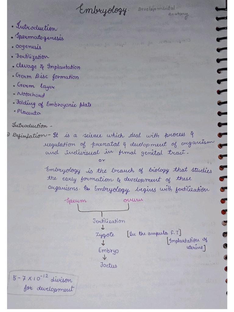 Embryology | PDF