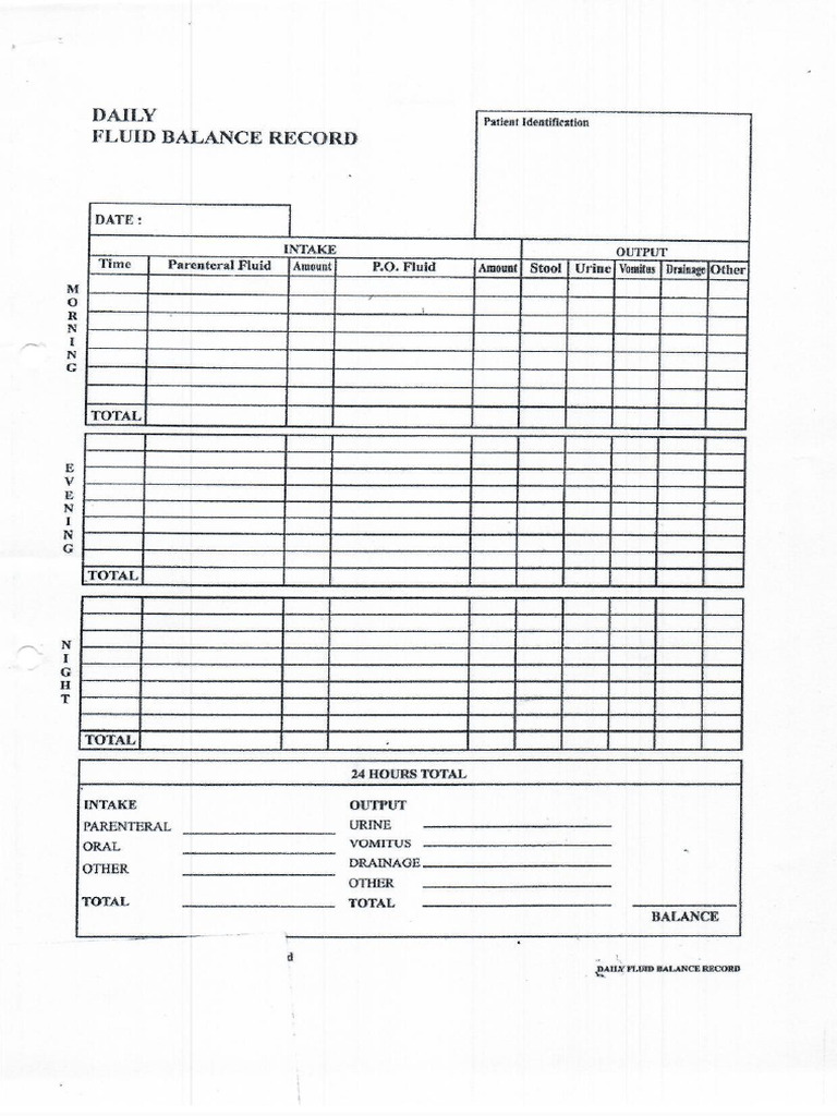 Intake Output Chart | PDF