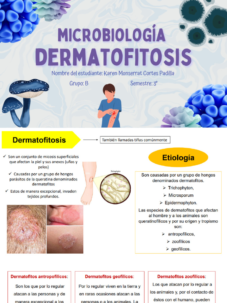 Dermatofitosis microbiologia | PDF