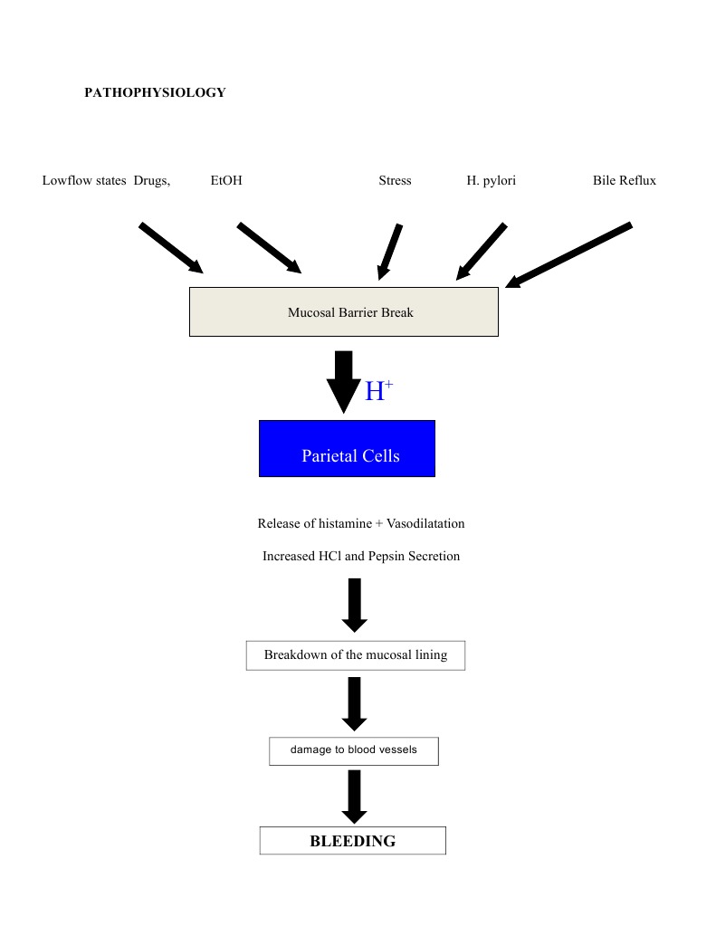 Pathophysiology of Ugib | PDF
