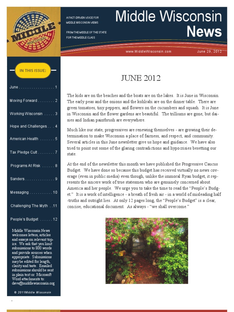 Middle Wisconsin: Information Technology Solutions | PDF | Government ...