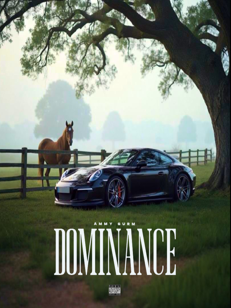 v2 domni 22 | PDF