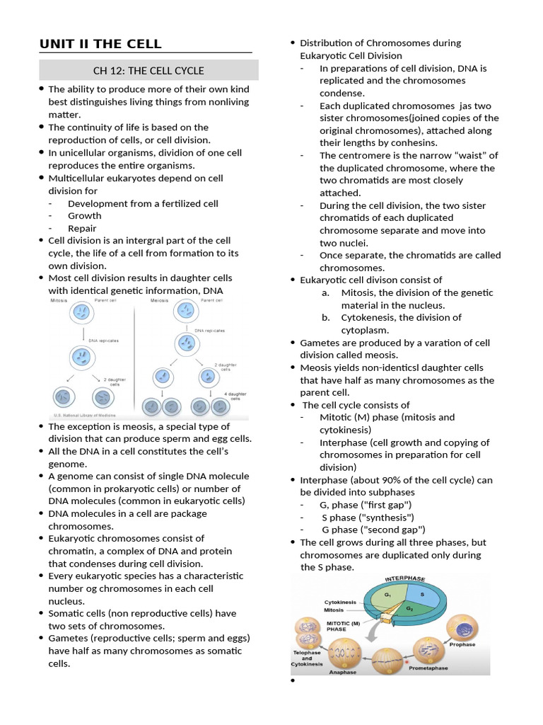 UNIT II THE CELL | PDF | Chromosome | Mitosis