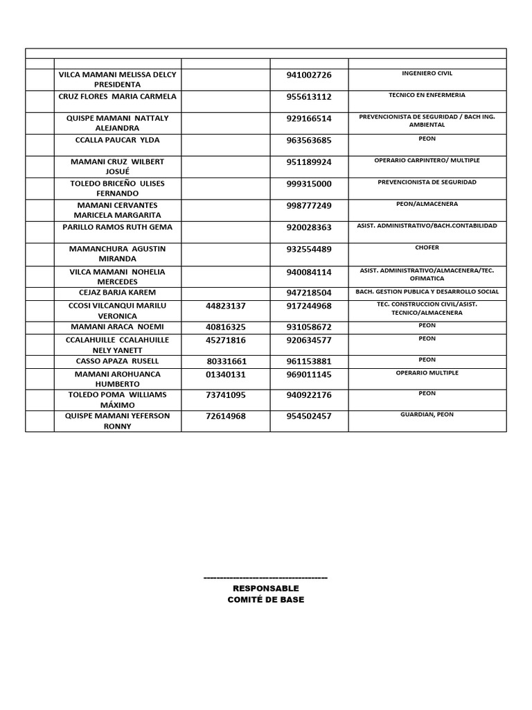 Cuadro Cercado San Antonio | PDF