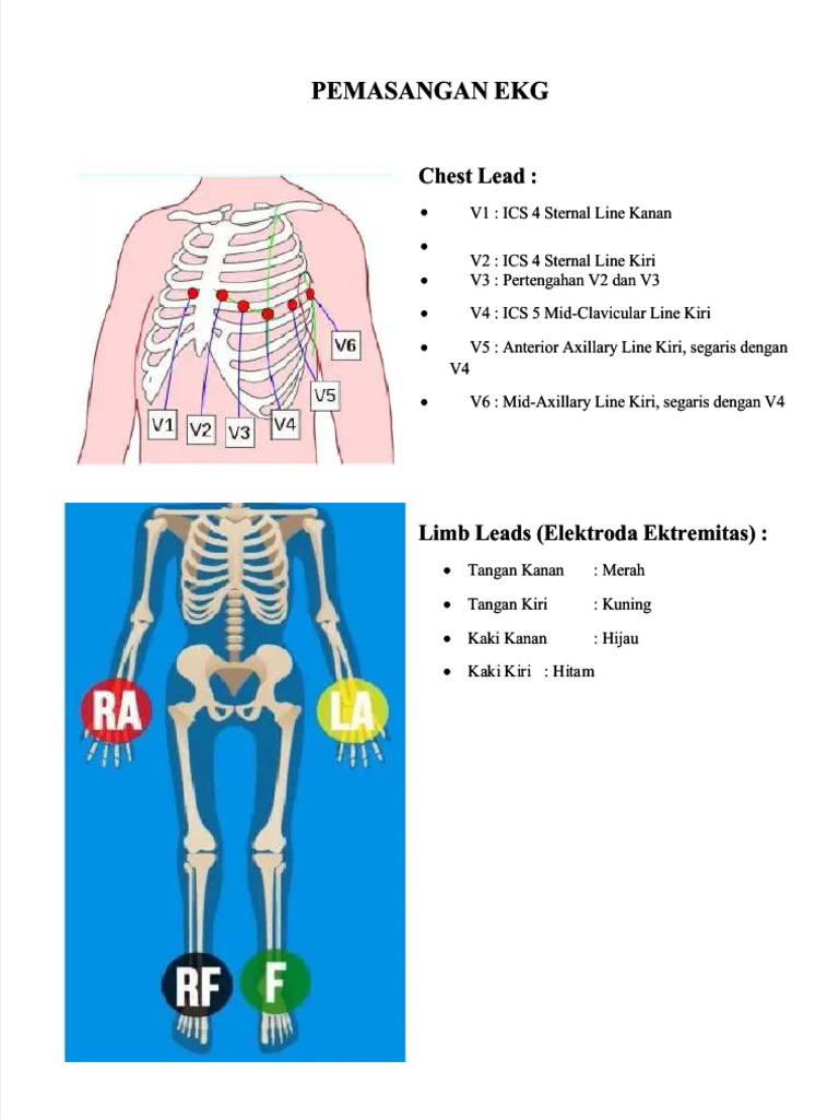 PDF Pemasangan Ekg Compress | PDF
