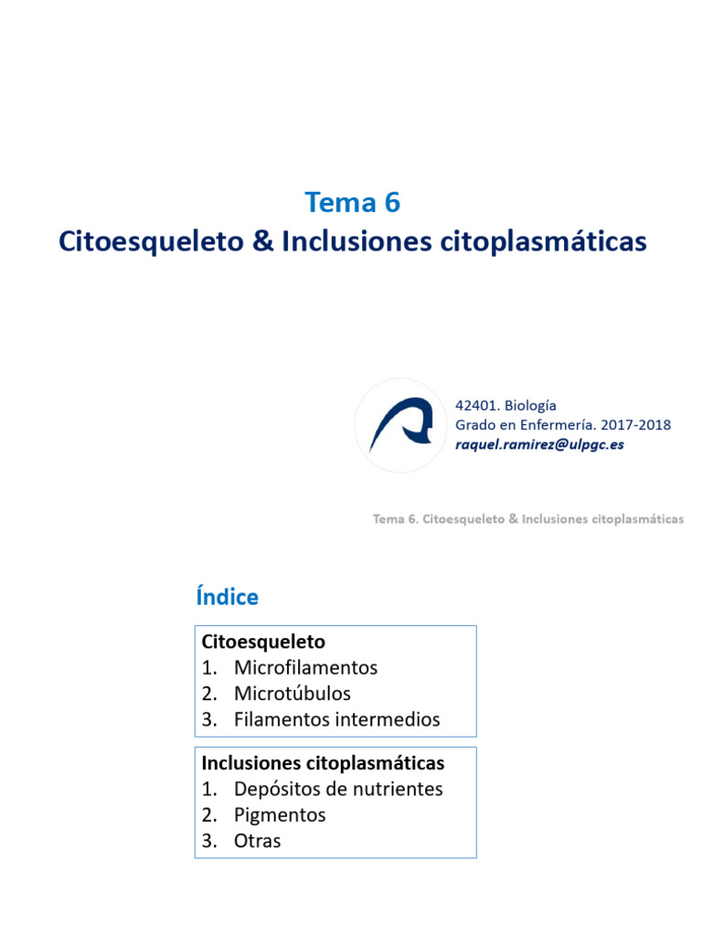Tema 06. Citoesqueleto Inclusiones Citoplasmáticas (1) | PDF ...