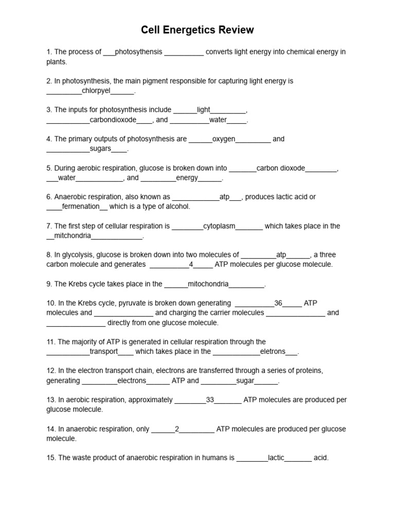 _Cell Energetics Practice Test | PDF | Cellular Respiration ...