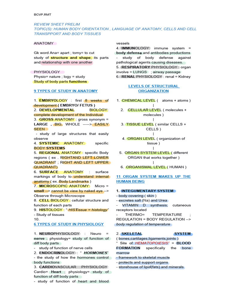 Review Sheet Prelim Human Ana 2 | PDF | Epithelium | Human Body