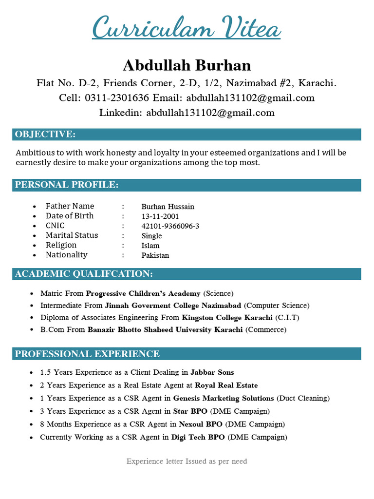 Abdullah Burhan CV | PDF