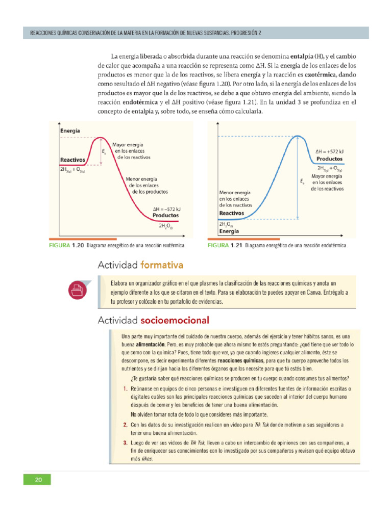 La Materia y Sus Interacciones en La Formacion de Sustancias | PDF