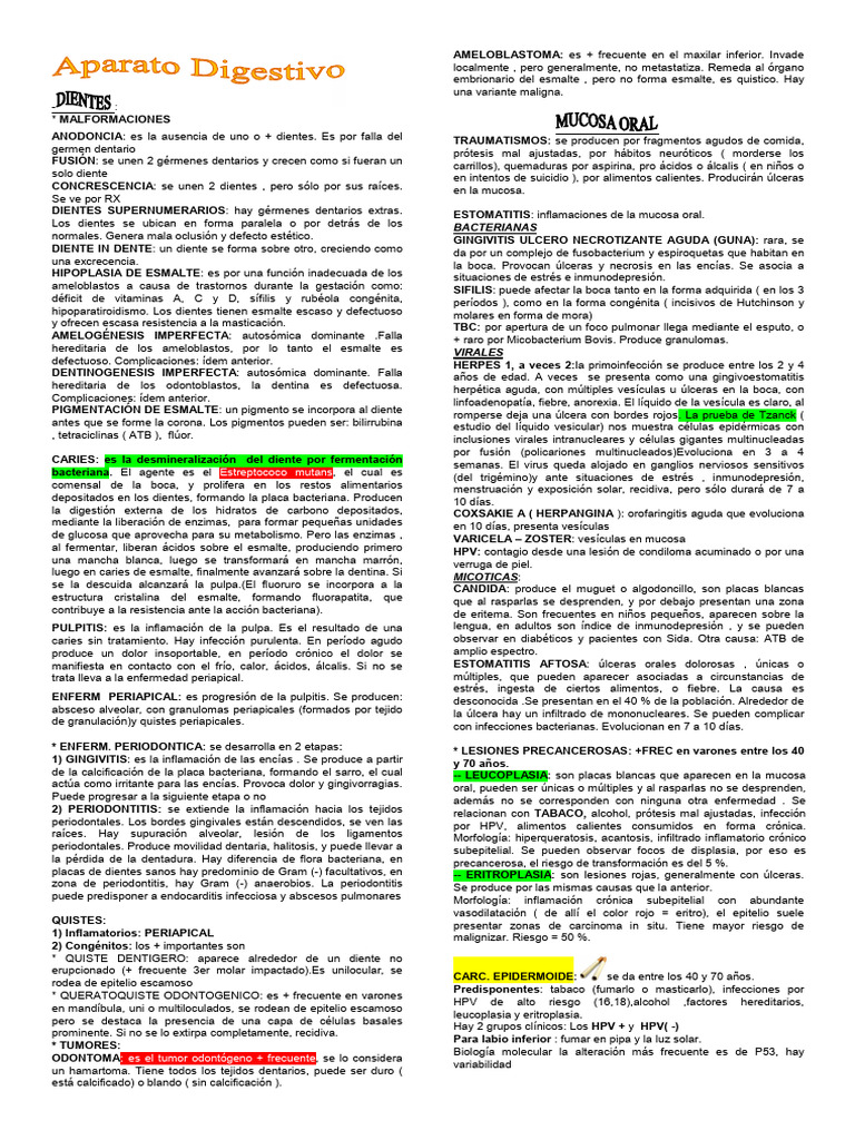 1b)Disgestivo 1 Hoja Grande | PDF | Estómago | Metástasis