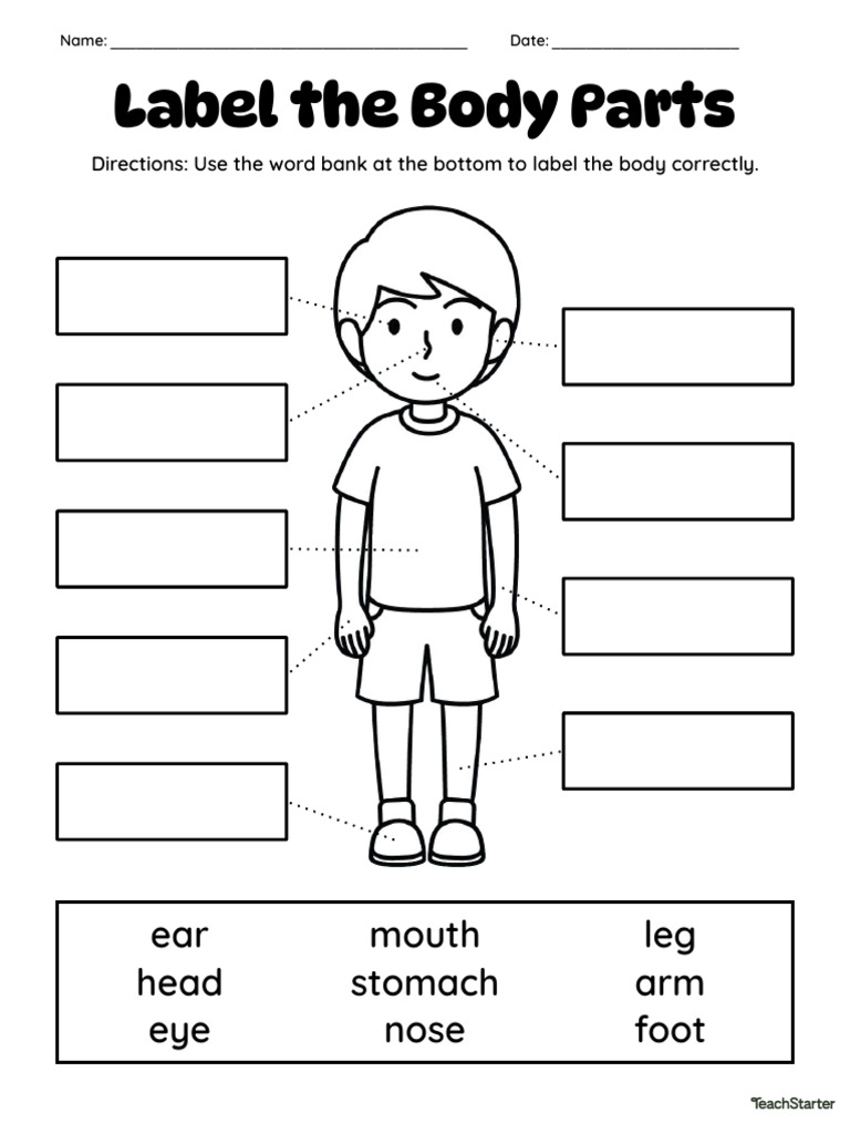 ICan Label Body Parts Worksheet Pack Printable PDF | PDF