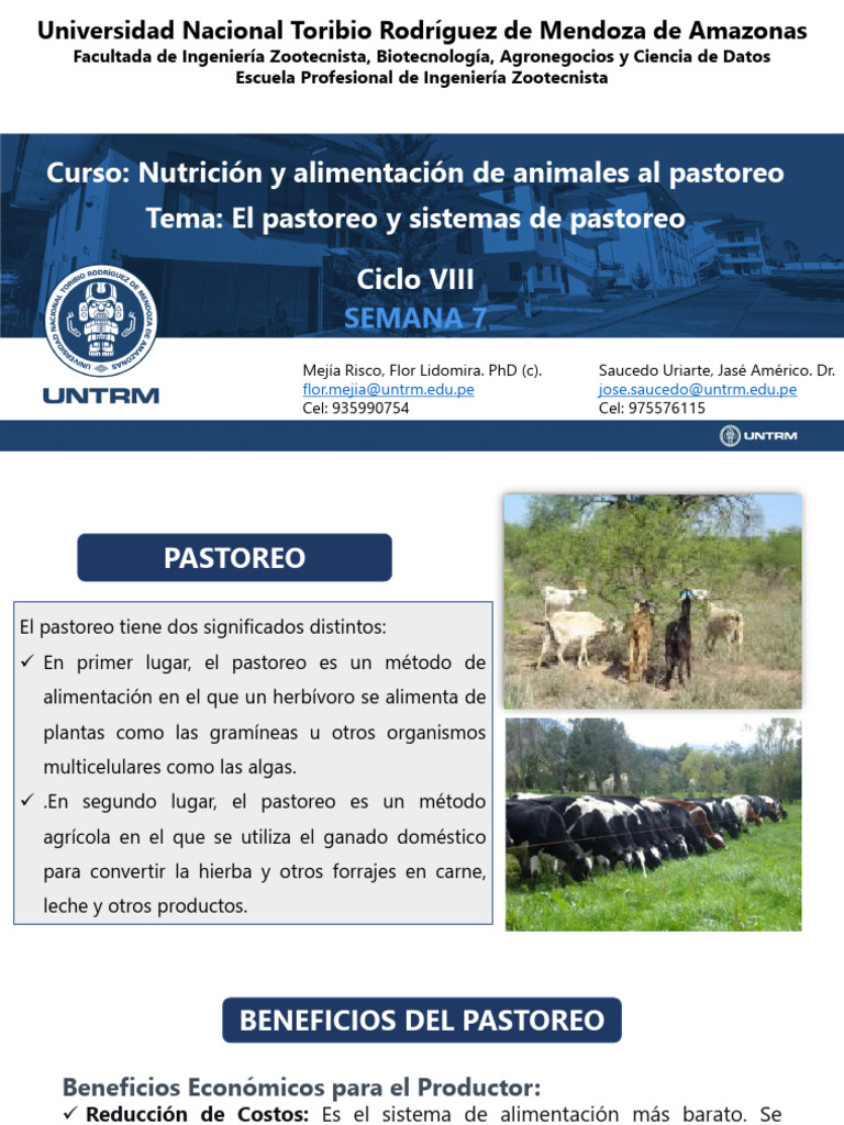 Semana 7-El Pastoreo y Sistemas de Pastoreo | PDF | Pasto | Pasto
