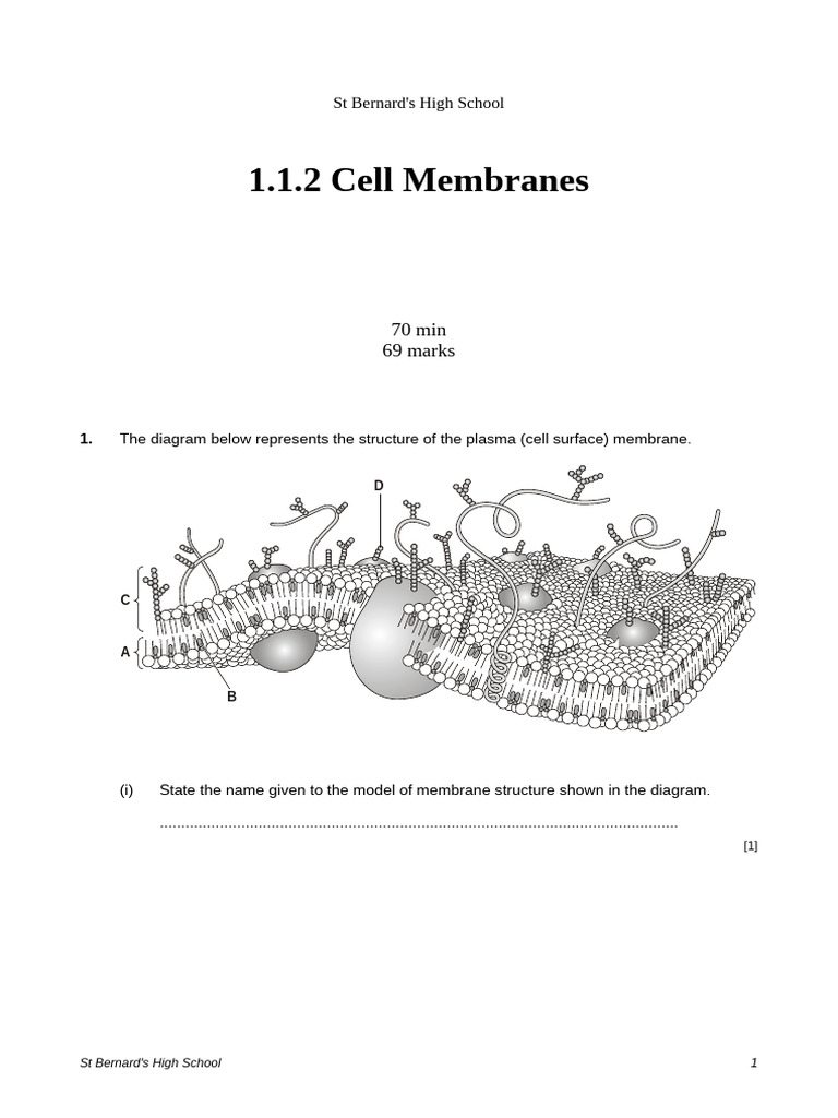 1.1.2 cell membranes past paper qs | PDF | Cell Membrane | Histology