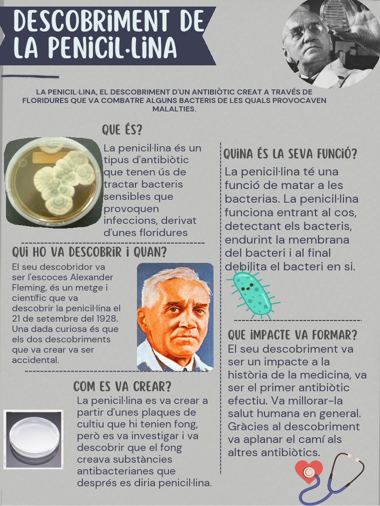 El Descobriment de La Penicil·Lina | PDF