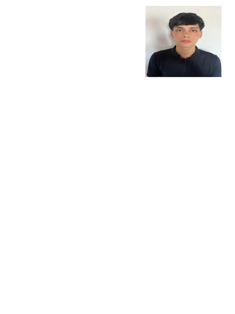 CV Santiago Horacio Lucero Techint Diseno | PDF