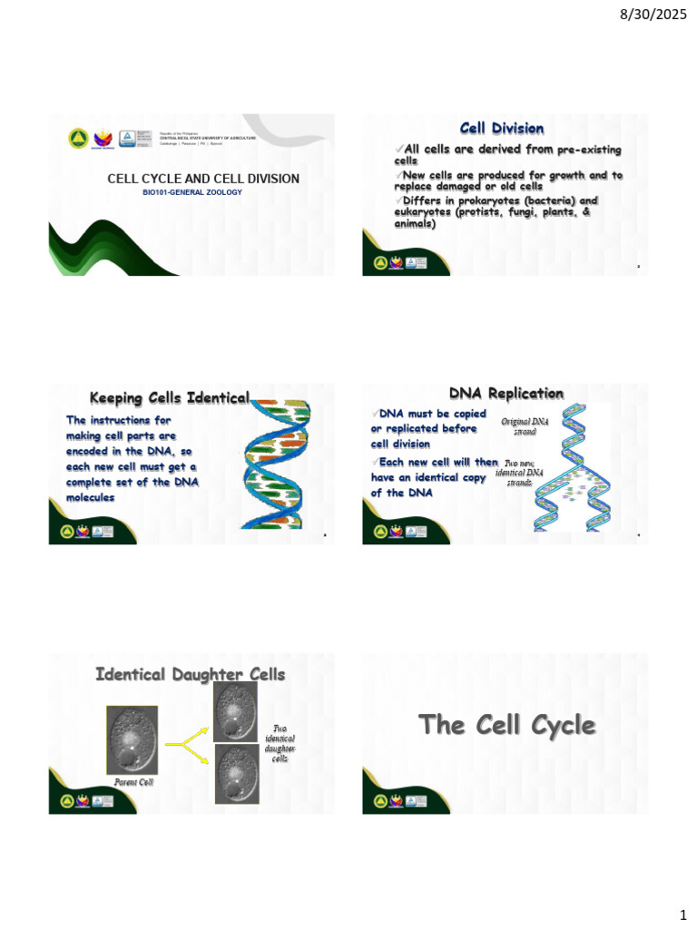 Lecture 2.1 Cell Cycle and Cell Division | PDF | Mitosis | Meiosis