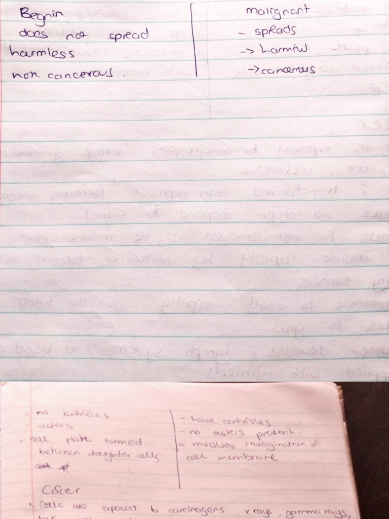 Tana Revision Notes | PDF