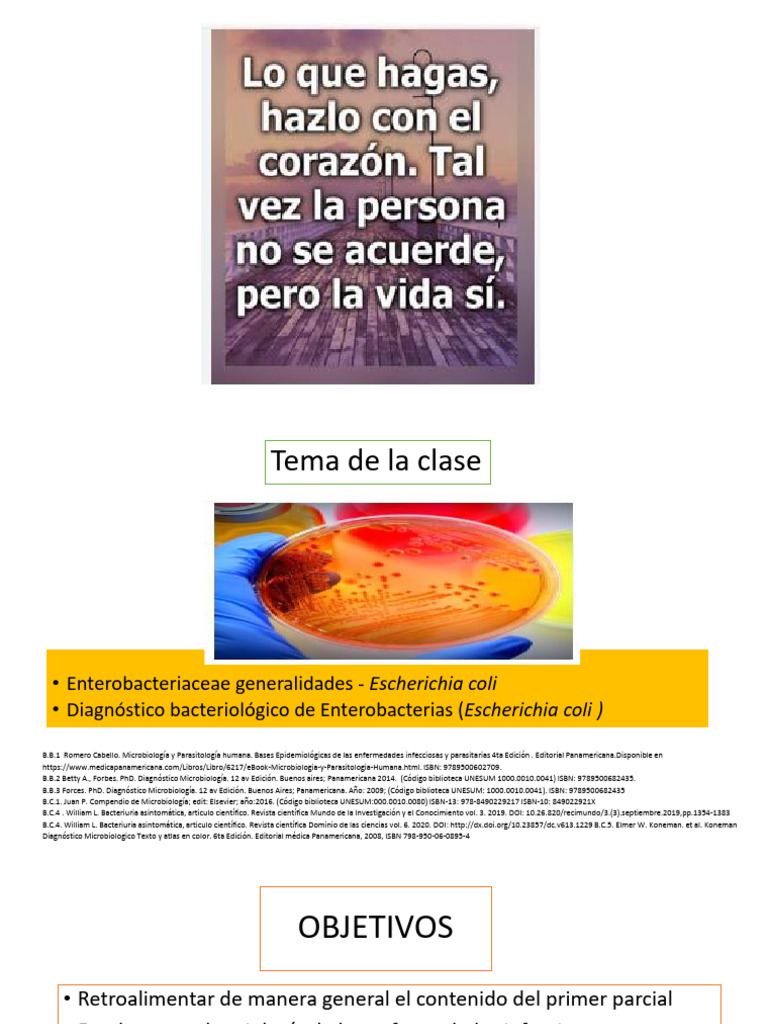 Enterobacterias e. Coli Pii22 | PDF | Microbiología | Biología