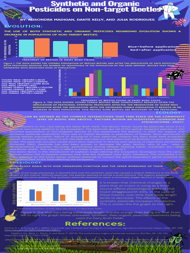 Beetle Bio IA Infographic | PDF | Ecosystem | Ecology