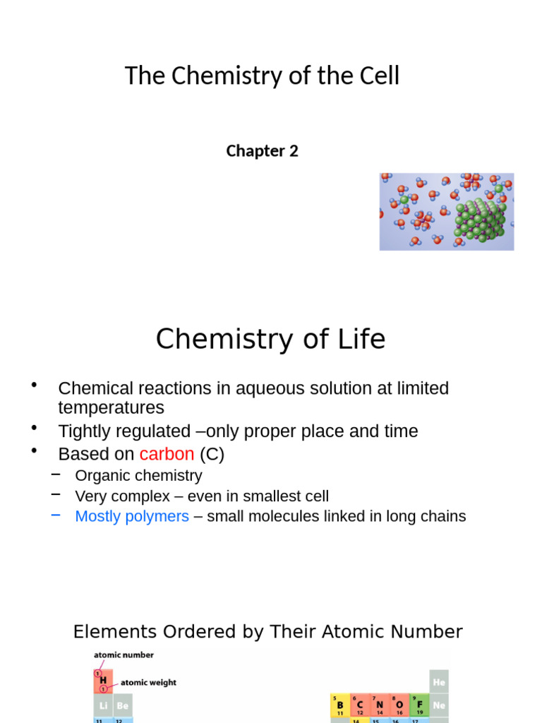 S26 Chapter 2 - Chemistry - 1-12-2026 | PDF | Biosynthesis | Macromolecules