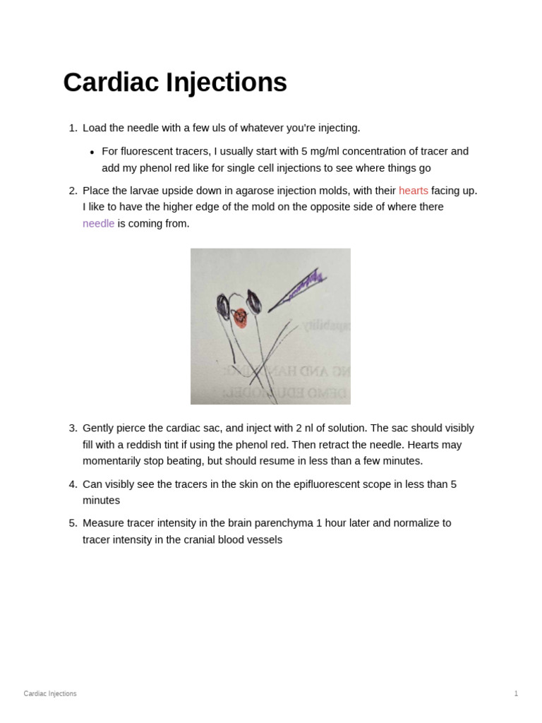 Cardiac Injections (3) | PDF