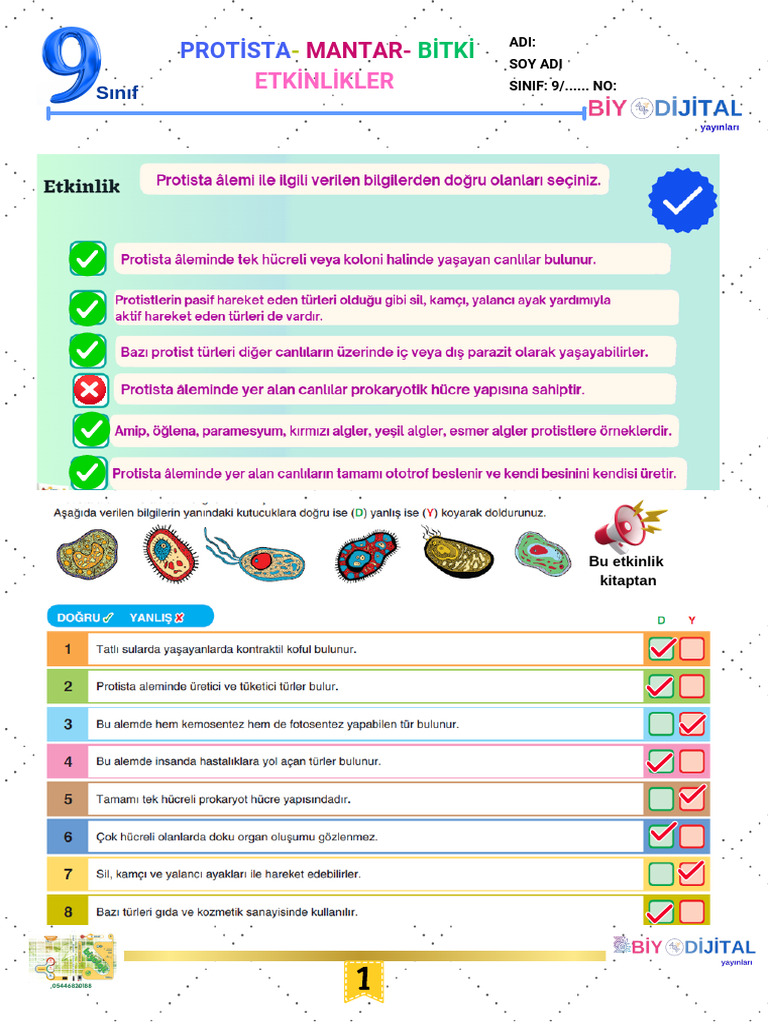 9.1.6 PROTİSTA- MANTAR BİTKİ etkinlik cvp | PDF