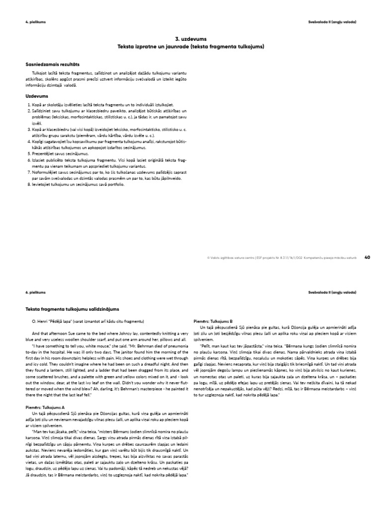Task 3 Translation | PDF