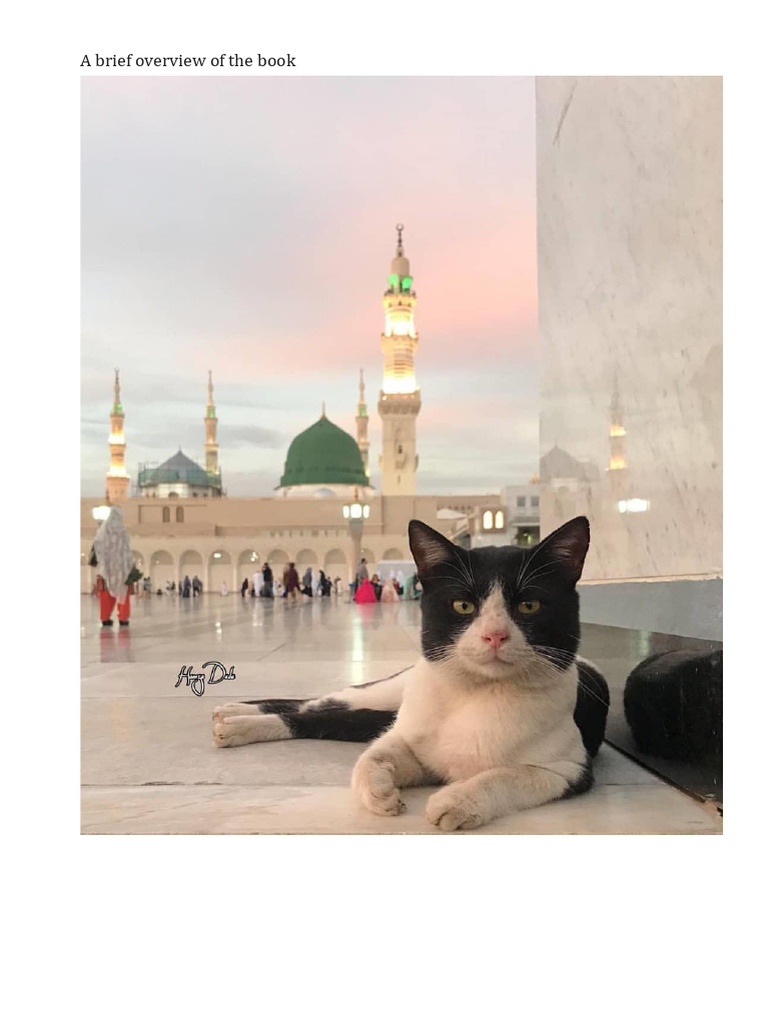 Animals in Islam Beliefs Traditions and | PDF | God In Islam | Quran